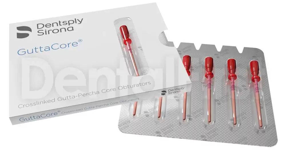 Купить GuttaCore N30 (30 штук) | Dental First